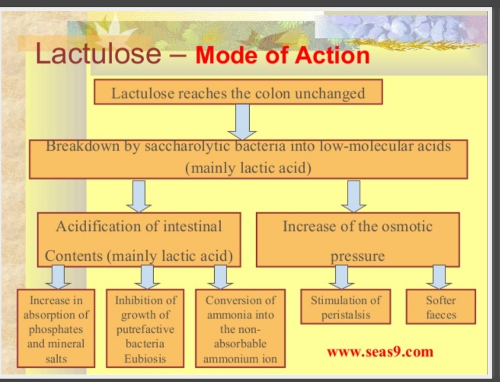 Medicine case discussion