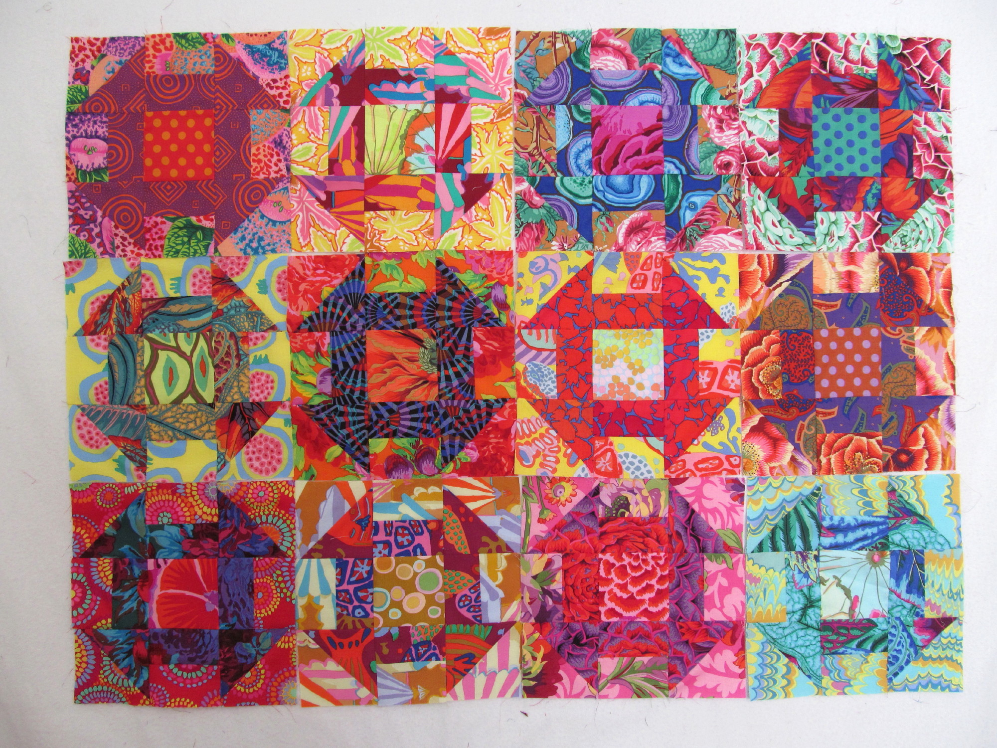 Exuberant Color : A dozen blocks...........