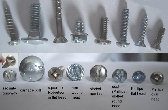 Wood Screw Heads Types MechanicsTips wood-screw-heads-types-mechanicstips
