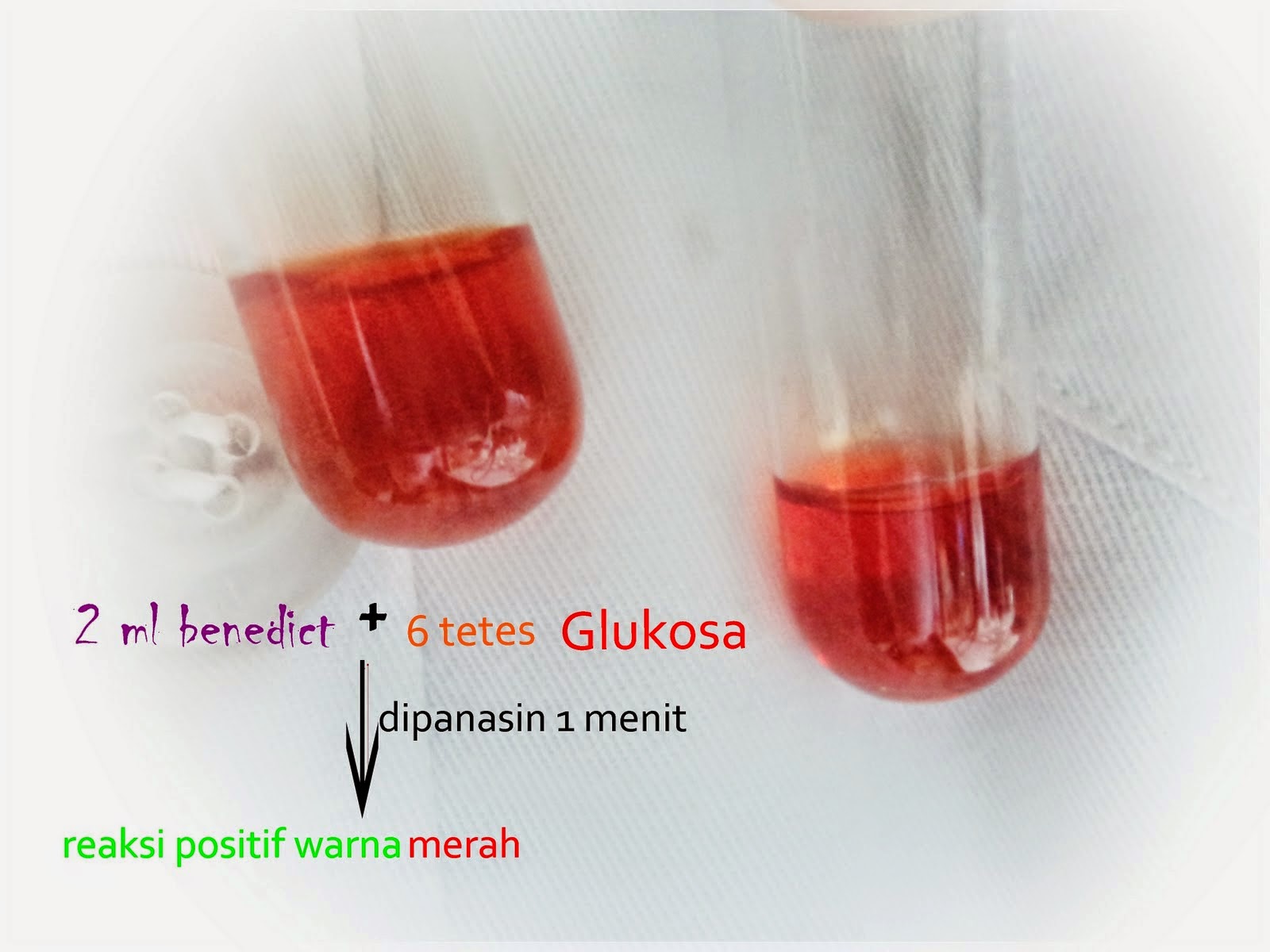 KIMIA ORGANIK 2: UJI KARBOHIDRAT