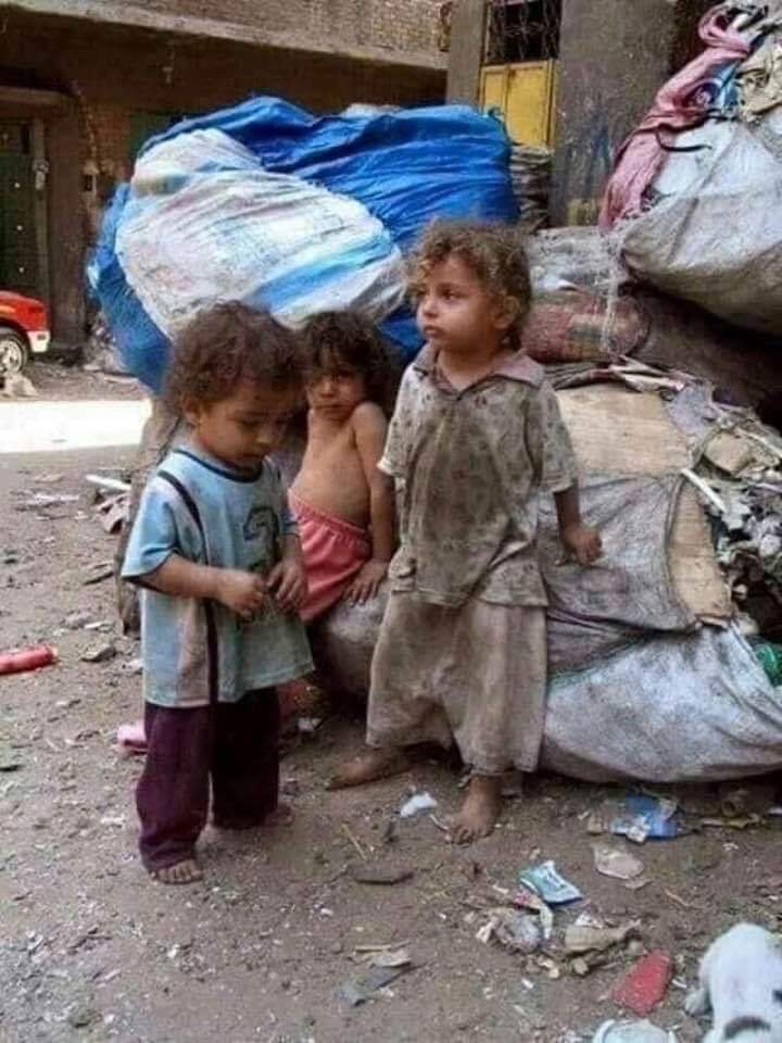 Beautiful Poor Creatures