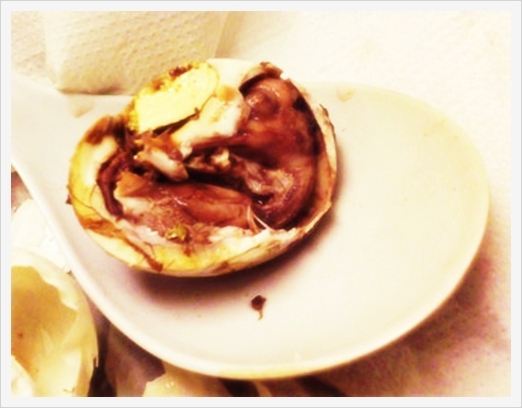 twenty2december™ : 10 Weird Food Delicacies From Around the World