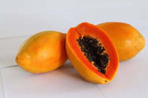 La lechosa o papaya y sus grandes beneficios contra el dengue ...