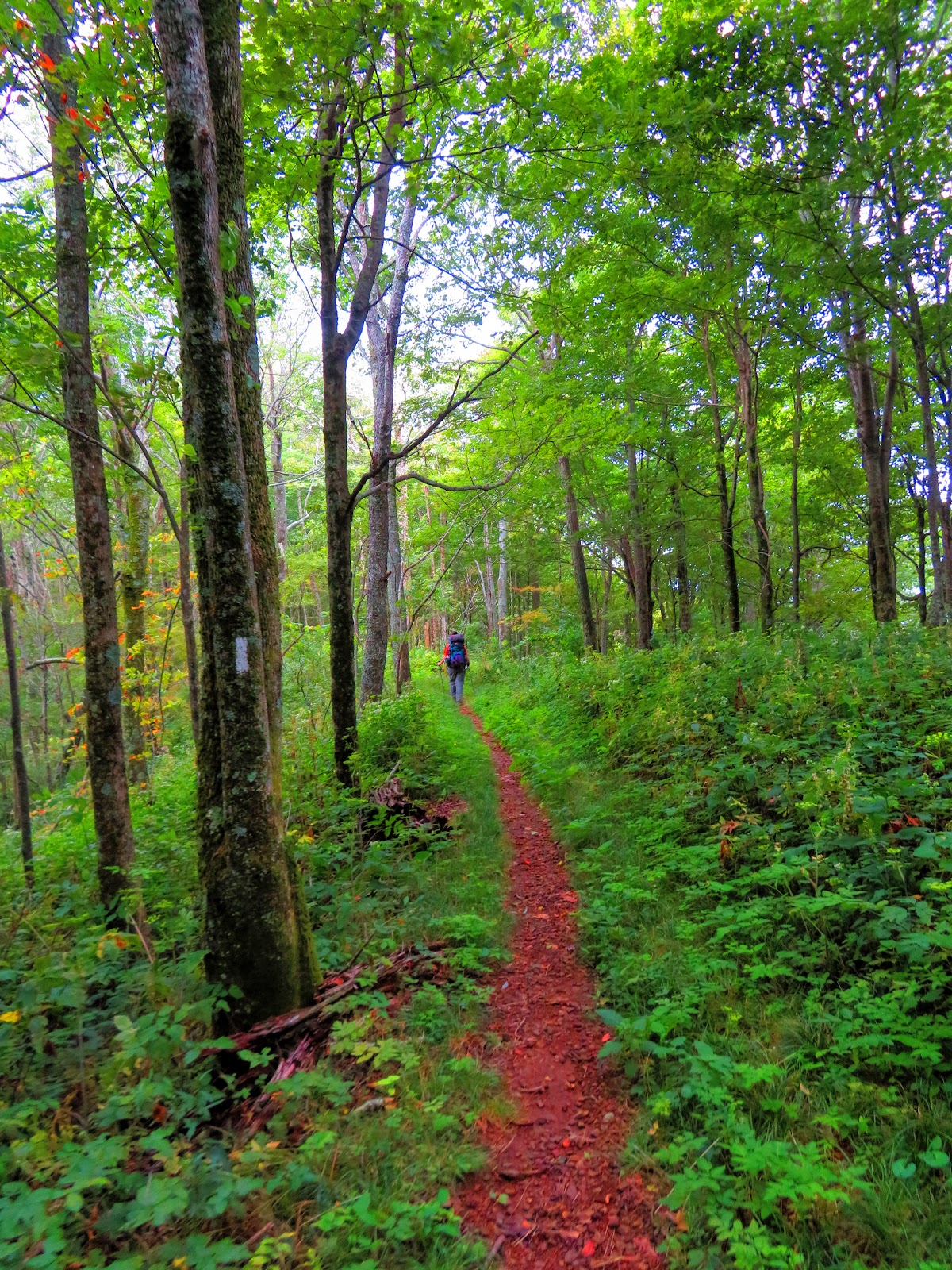 Tales From The Wood Booger: AT Section Hike - NC-TN #13: Devil's Fork ...