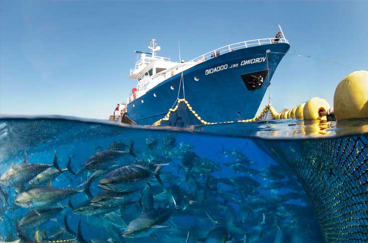 Pengoperasian Alat Tangkap Purse Seine