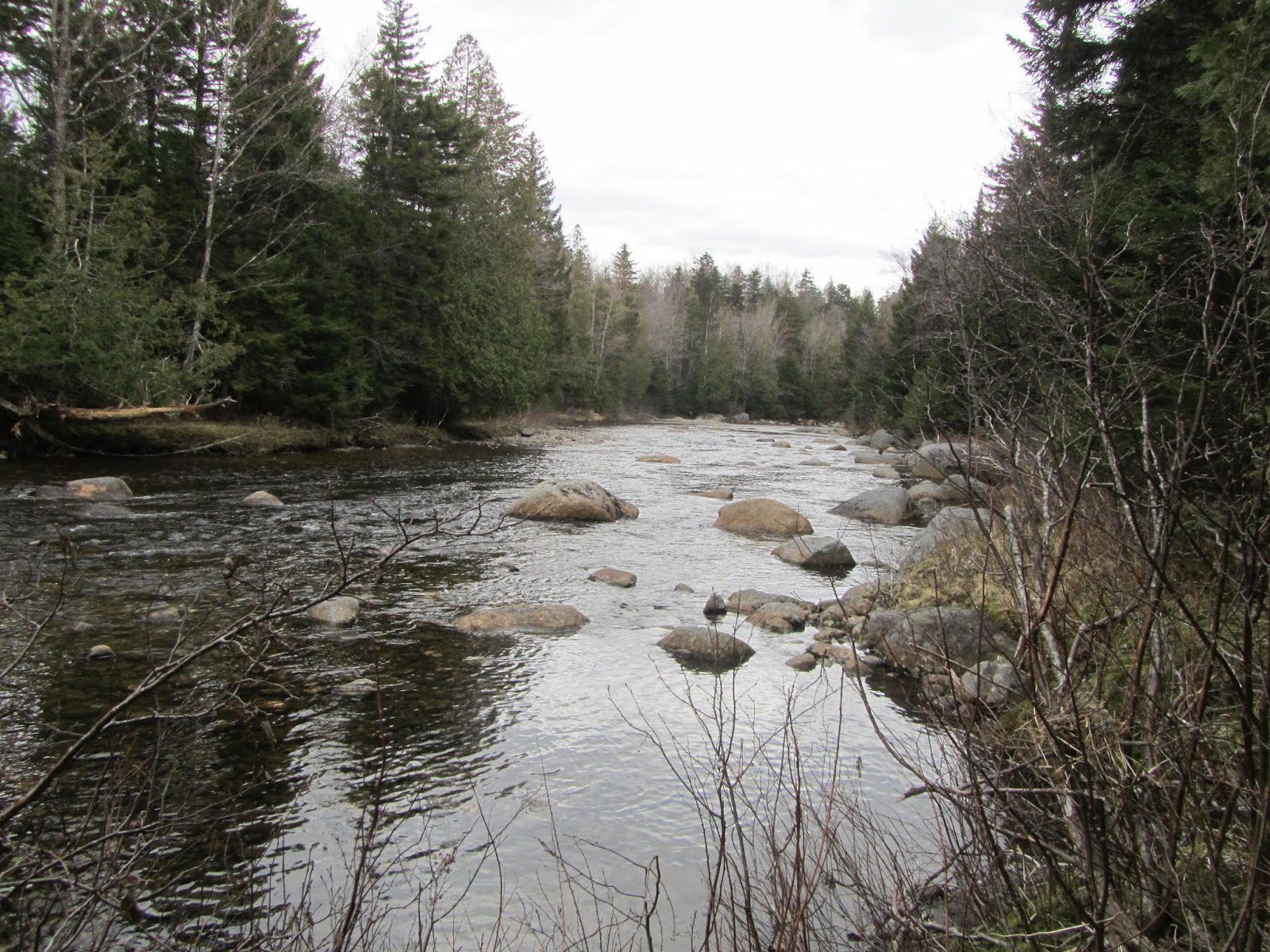 Tomcat's Outdoor Adventures: Backpacking the Seward Range- Cold River Loop