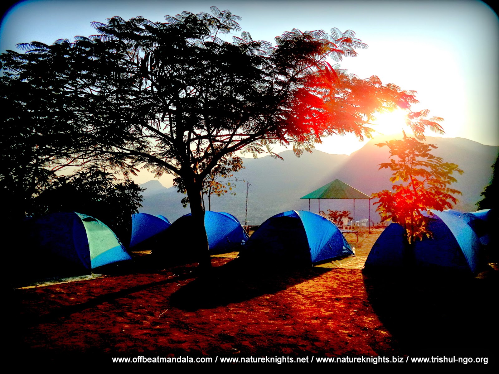 Nature Knights: Firefly Camp by Nature Knights