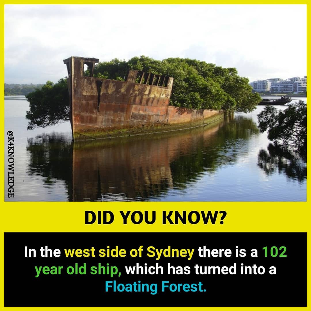 Do You Know Facts With Images, Best Amazing Facts