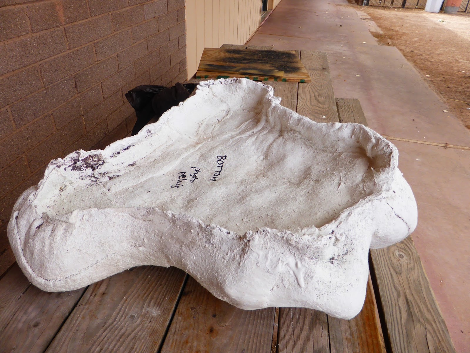 cruisingat60: Archeo and Paleo - you know, those dirt-diggers