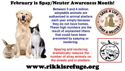 Important Benefits of Spaying and Neutering Your Dog. - Doglopedix
