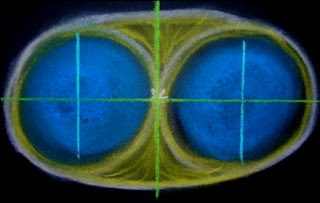A Simple Explanation of Absolutely Everything: Toroidal Symmetries and ...