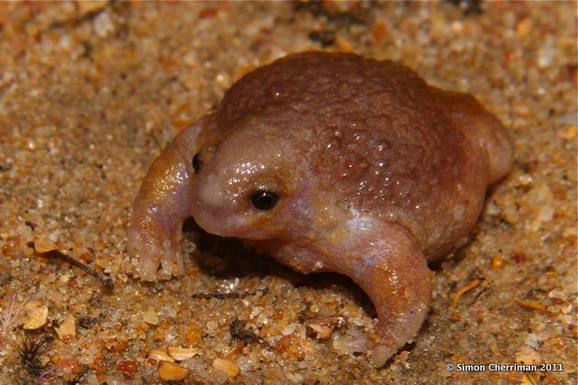 iNSiGHT News: December 2011