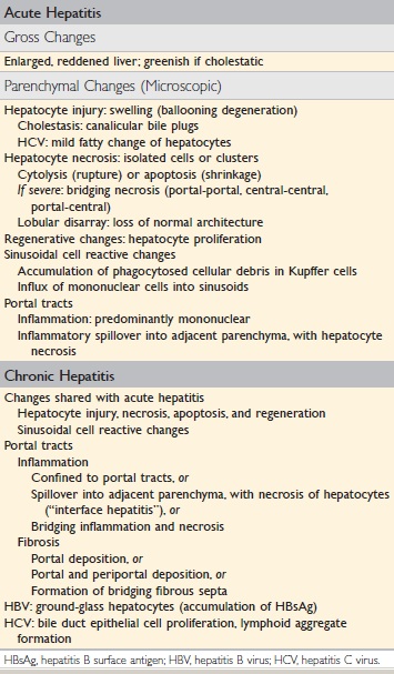 Patologi Anatomik: Hepatitis