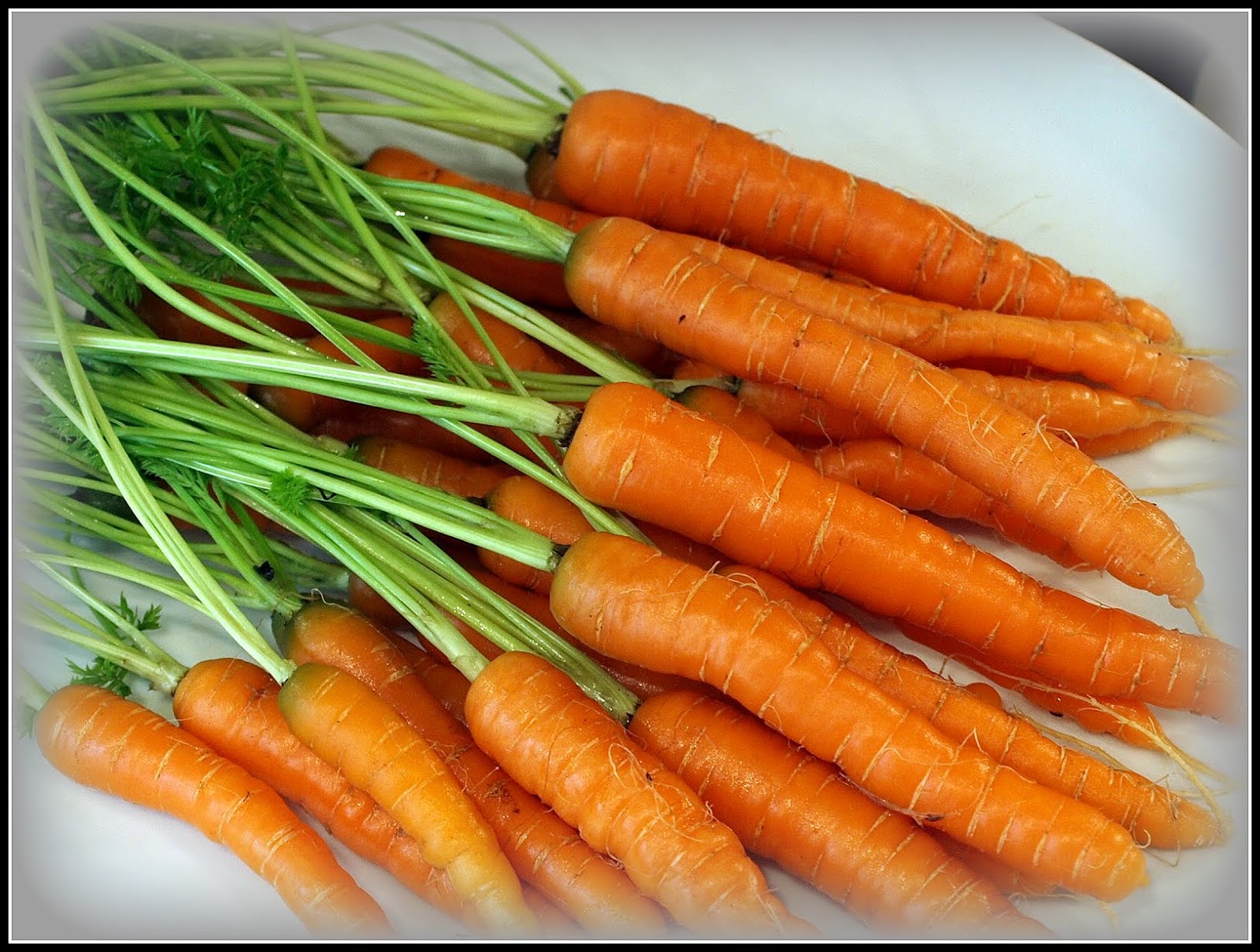 Mark's Veg Plot: Carrots - again!