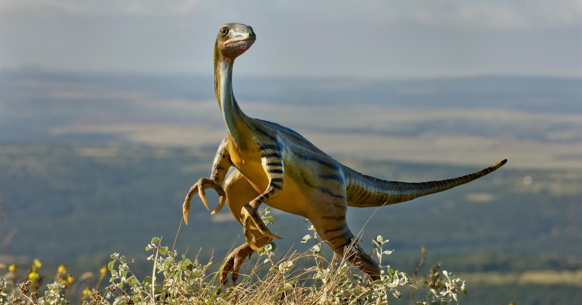 Extinct Animal of the Week: Life Sized Models