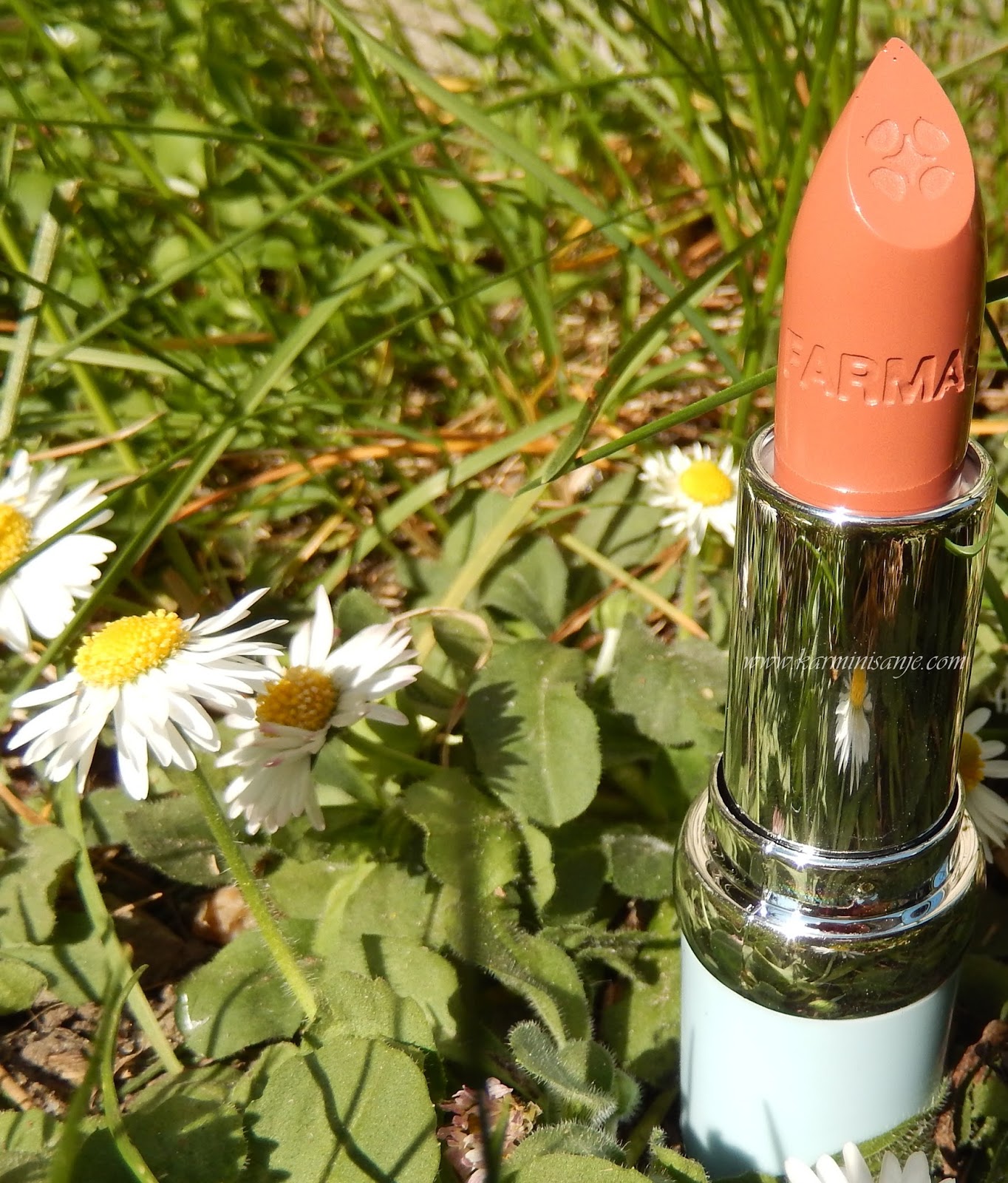 Karminisanje: Farmasi BB karmini