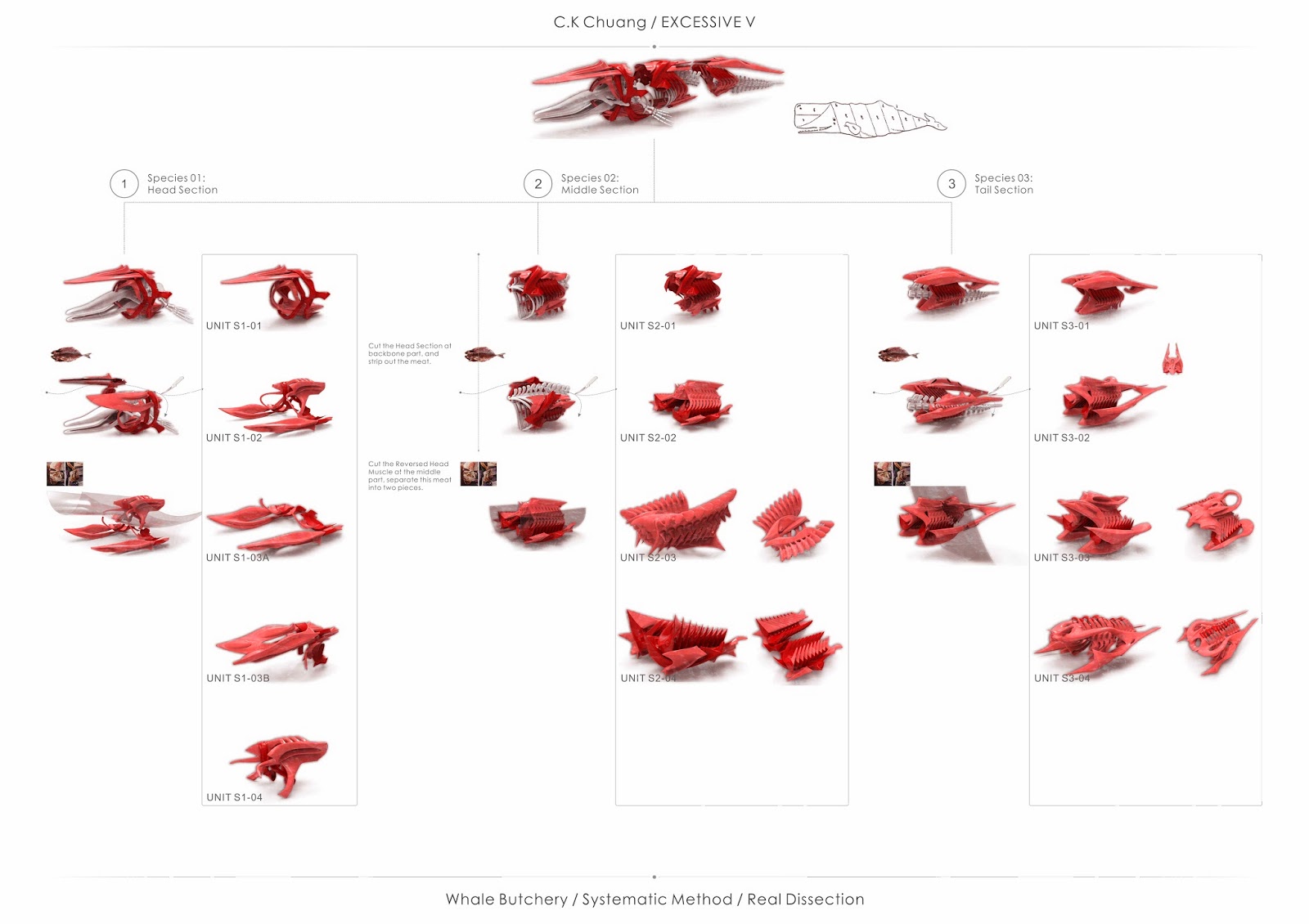 VC (2013/11/10) - Step01- Basic Dissection/ Catalog of Butchery and ...
