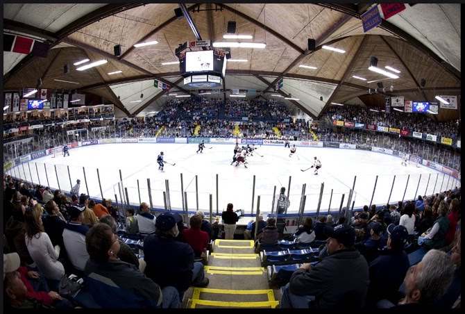 [59 Teams in 59 Days] - The University of Maine Black Bears : r/hockey