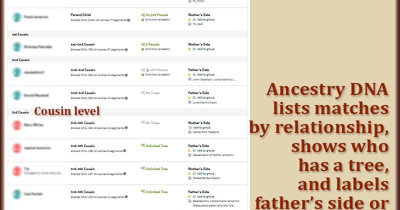 Fortify Your Family Tree: 3 Steps to Identifying Certain DNA Matches