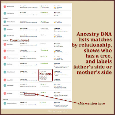 Fortify Your Family Tree: 3 Steps to Identifying Certain DNA Matches