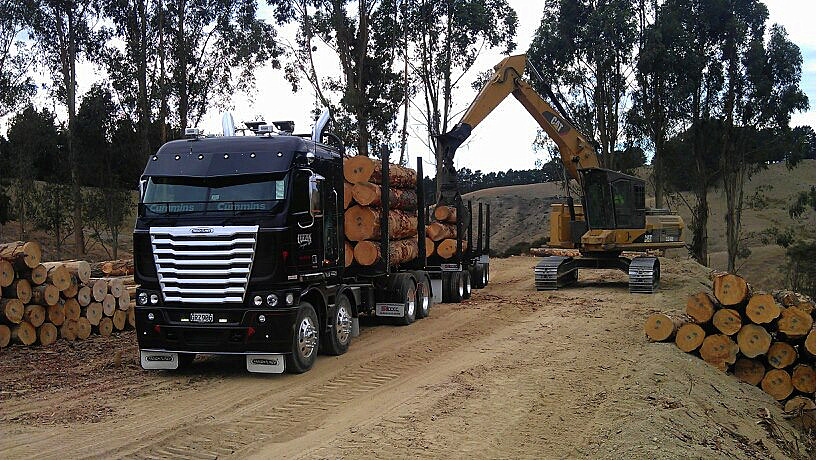 Custom Truck Chrome: Cuzzin's Argosy