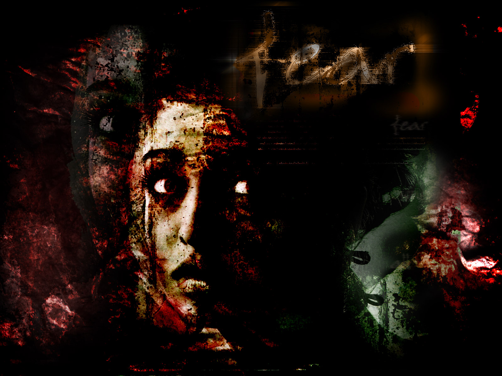 The Bizarre and Weird: The Dark Face of Fear - Women in Terror