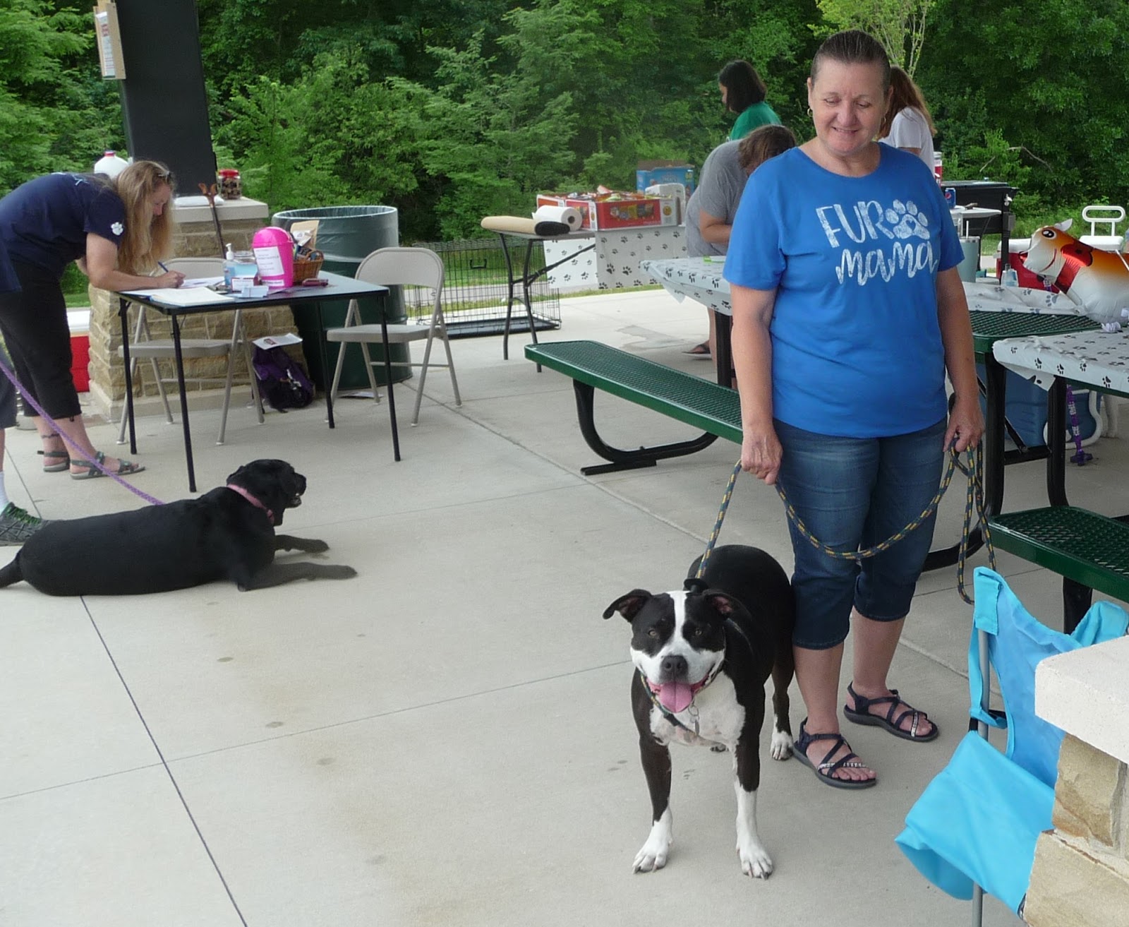 Free Friendly Group Fun Dog Walk: Friendly Fun Group Dog Walk