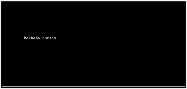 Python Curses Modülü