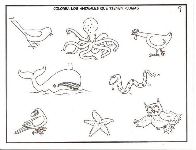 Actividades Escolares: ciencias- para dar todo sobre animales