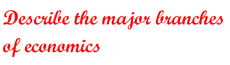 Describe the major branches of economics - MRM