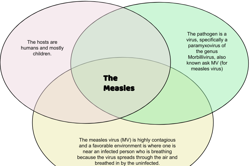 Science Blog: The Measles