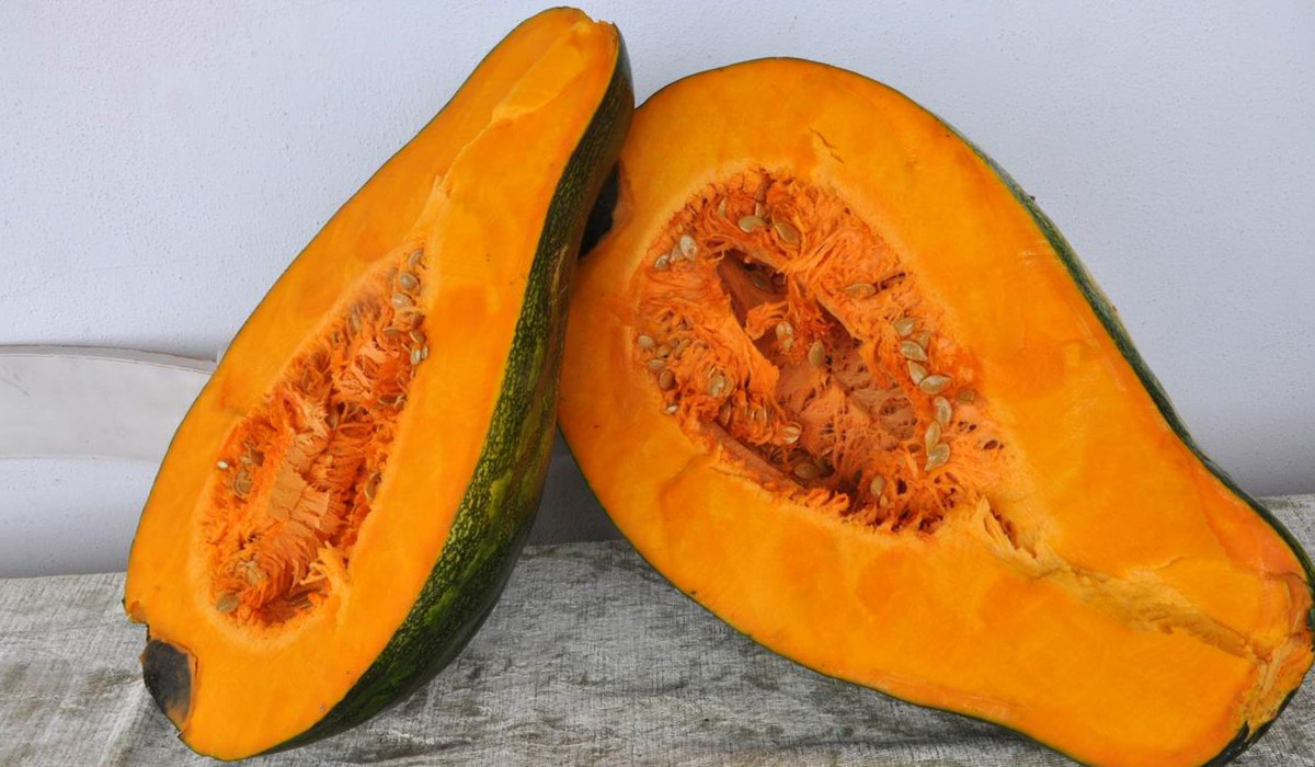 Haitian Soup Joumou - Acorn Squash Soup - AnointedHeels