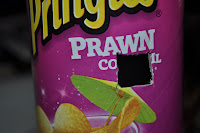 Amber Strickland Photography Portfolio: I've tried to make a Pinhole ...