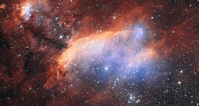 Ταξίδια του νου...: Το Νεφέλωμα Γαρίδας (The Prawn Nebula)...