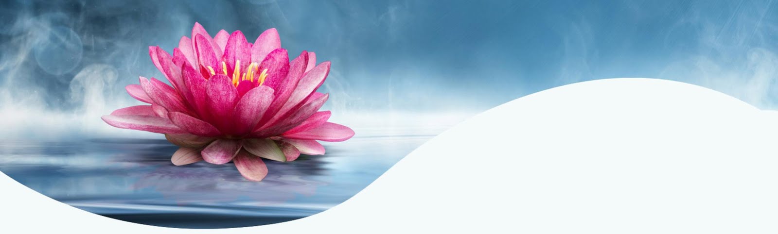 Terapias Complementares: GUIA HOLÍSTICO BRASIL