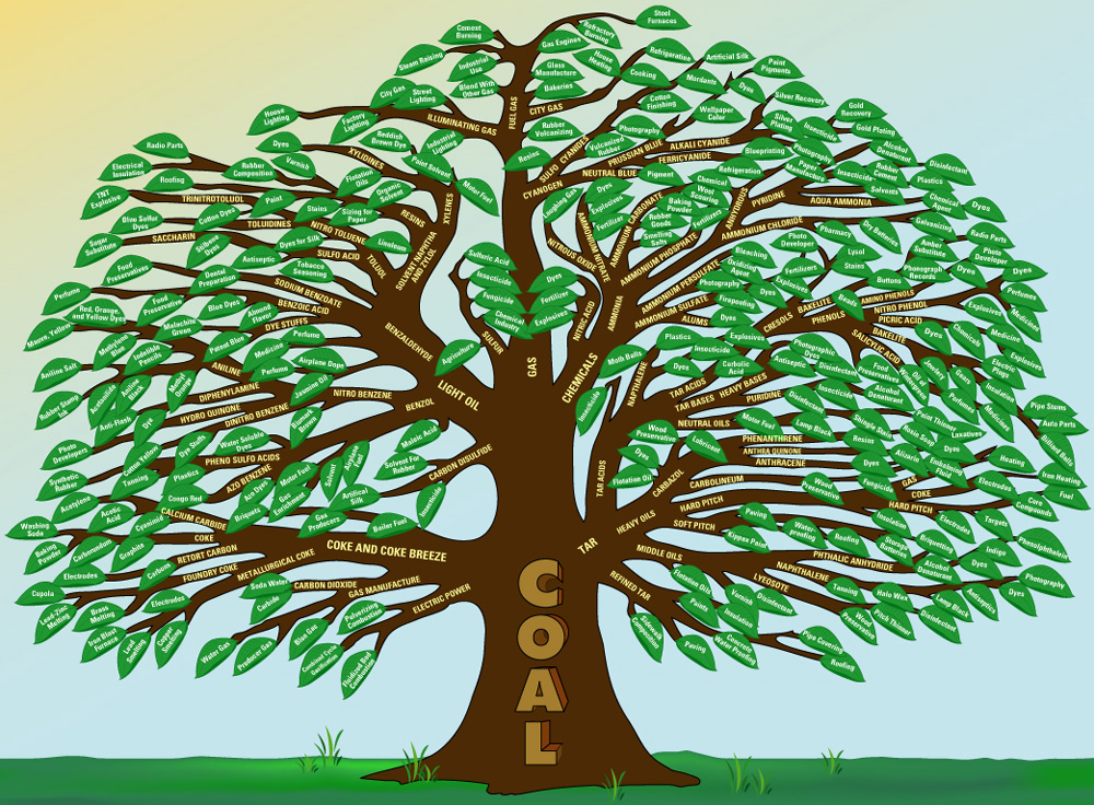 The Genealogical World of Phylogenetic Networks: Coal — trees and ...