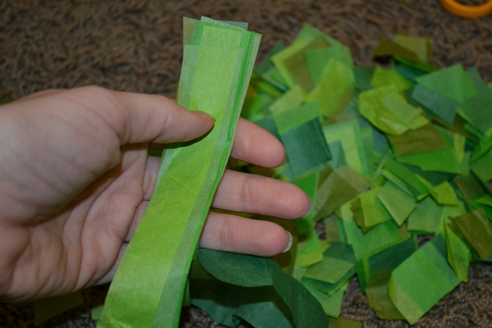 What are we doing today Mom?