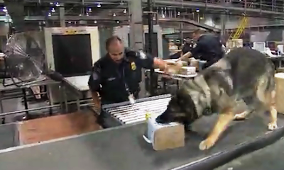 DEA Announces Largest Ever Synthetic Drug Bust ~ Borderland Beat