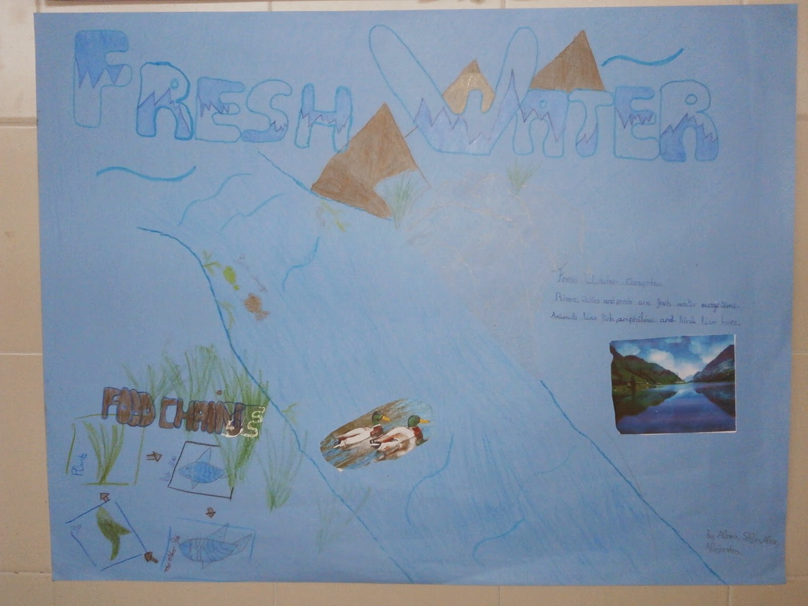 ARTISTS' CORNER: ECOSYSTEM POSTERS