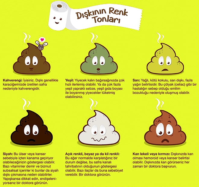 BÜYÜLEYİCİ BAĞIRSAK (Giulia ENDERS)