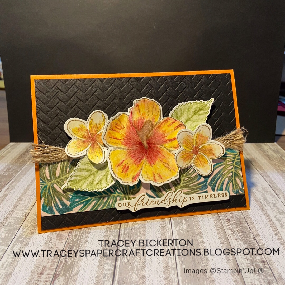 Tracey's Papercraft Creations: TROPICAL OASIS SUITE