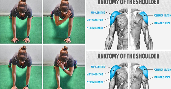 Shoulder Tap Pushups - Exercise Tutorial