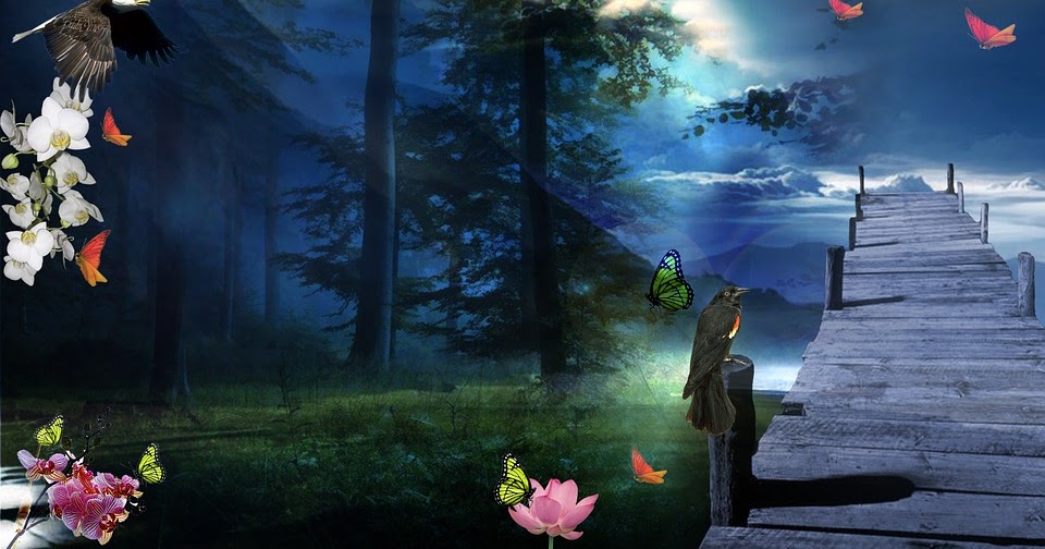 Ask Lucy: This is the Way Out