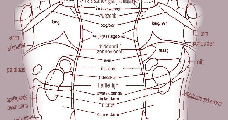 VER(P)LICHTE KOST: Voetzoolreflex via Christine Bruyneel