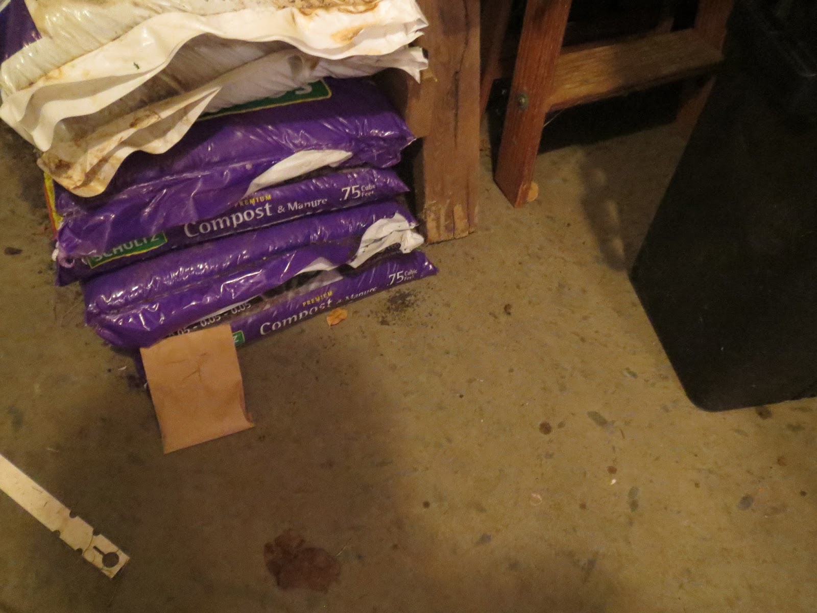 Reviews: J.I's Mouse Deodorizer