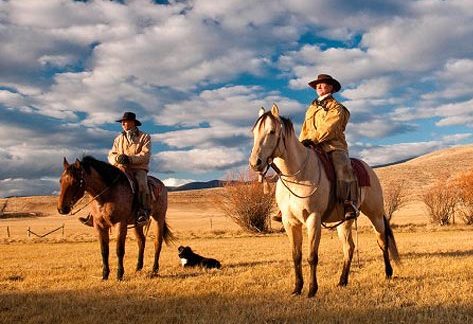 American History: The American Cowboy