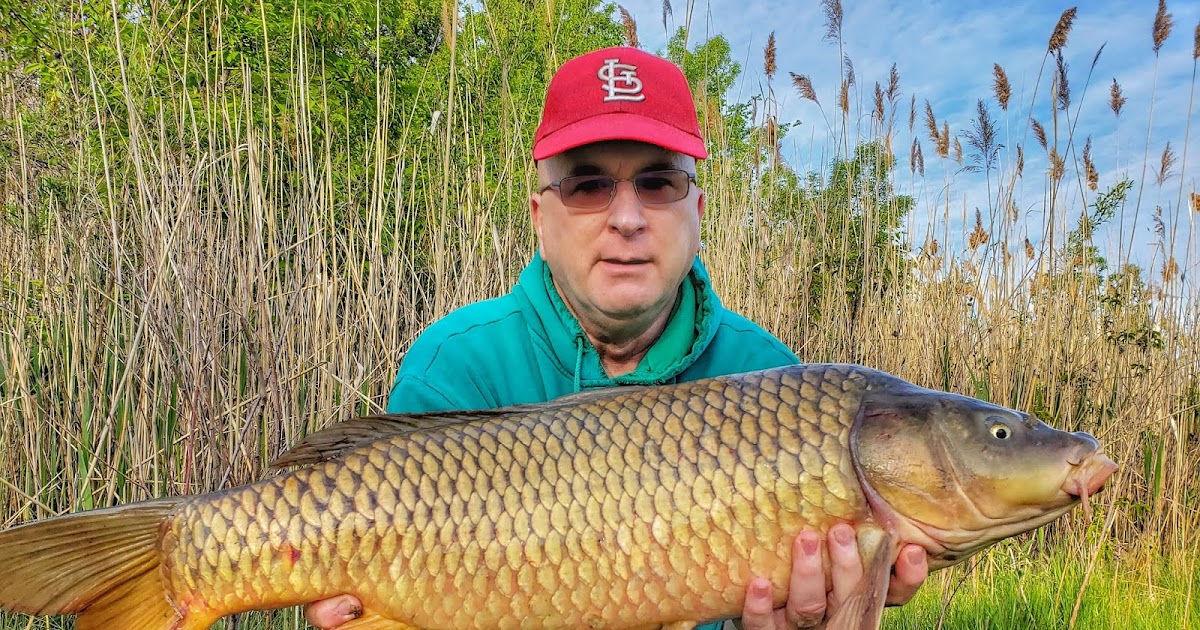 Michigan Carp Fishing Blog: Urban River Carp Fishing