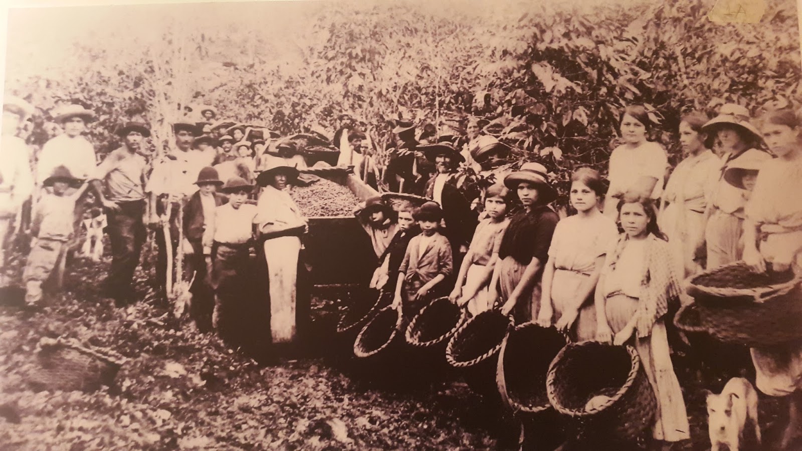 Mitos, Cuentos y Leyendas: EL RELOJ DE GÜIGÜE