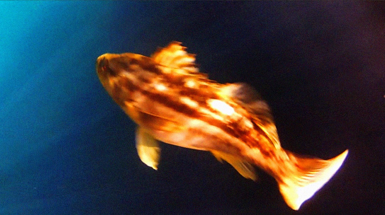 Postcards From The Edge