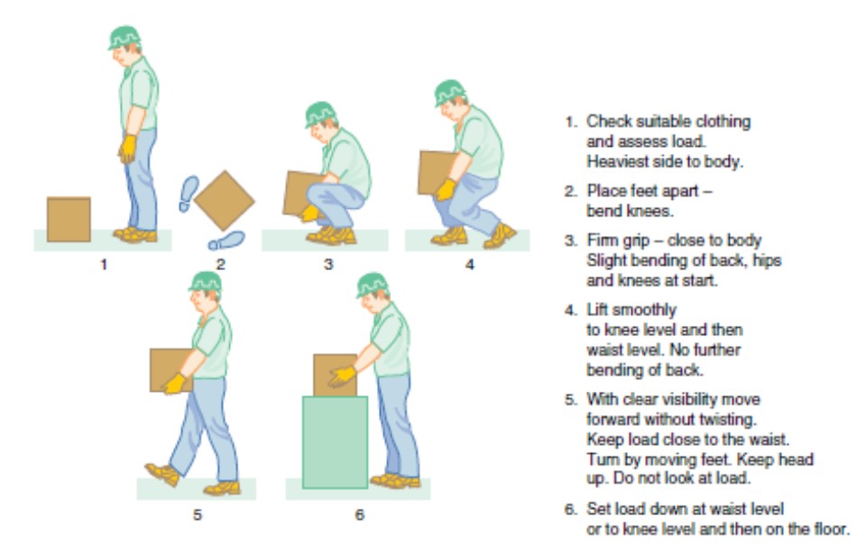 10. Manual and Mechanical Handling Hazards and Control